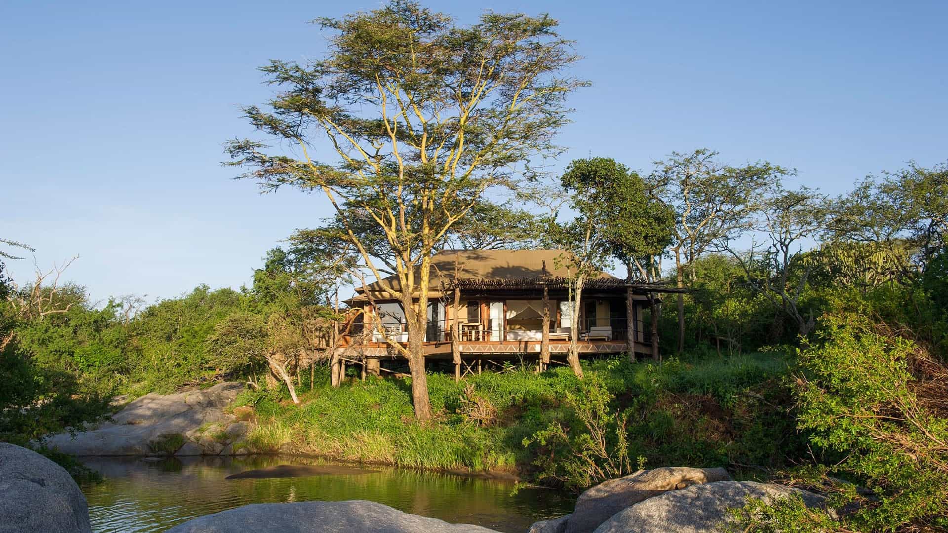 Mwiba Lodge - Bookings and trips by Safaris and Expeditions