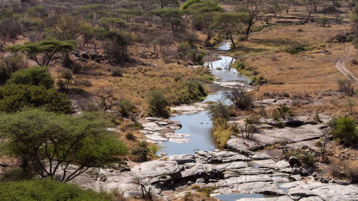 Maswa Game Reserve - Safaris and Expeditions