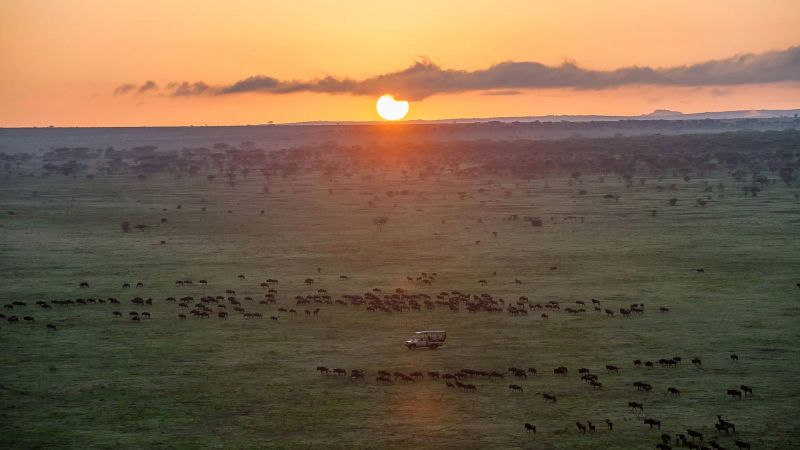 Maswa Game Reserve - Safaris and Expeditions