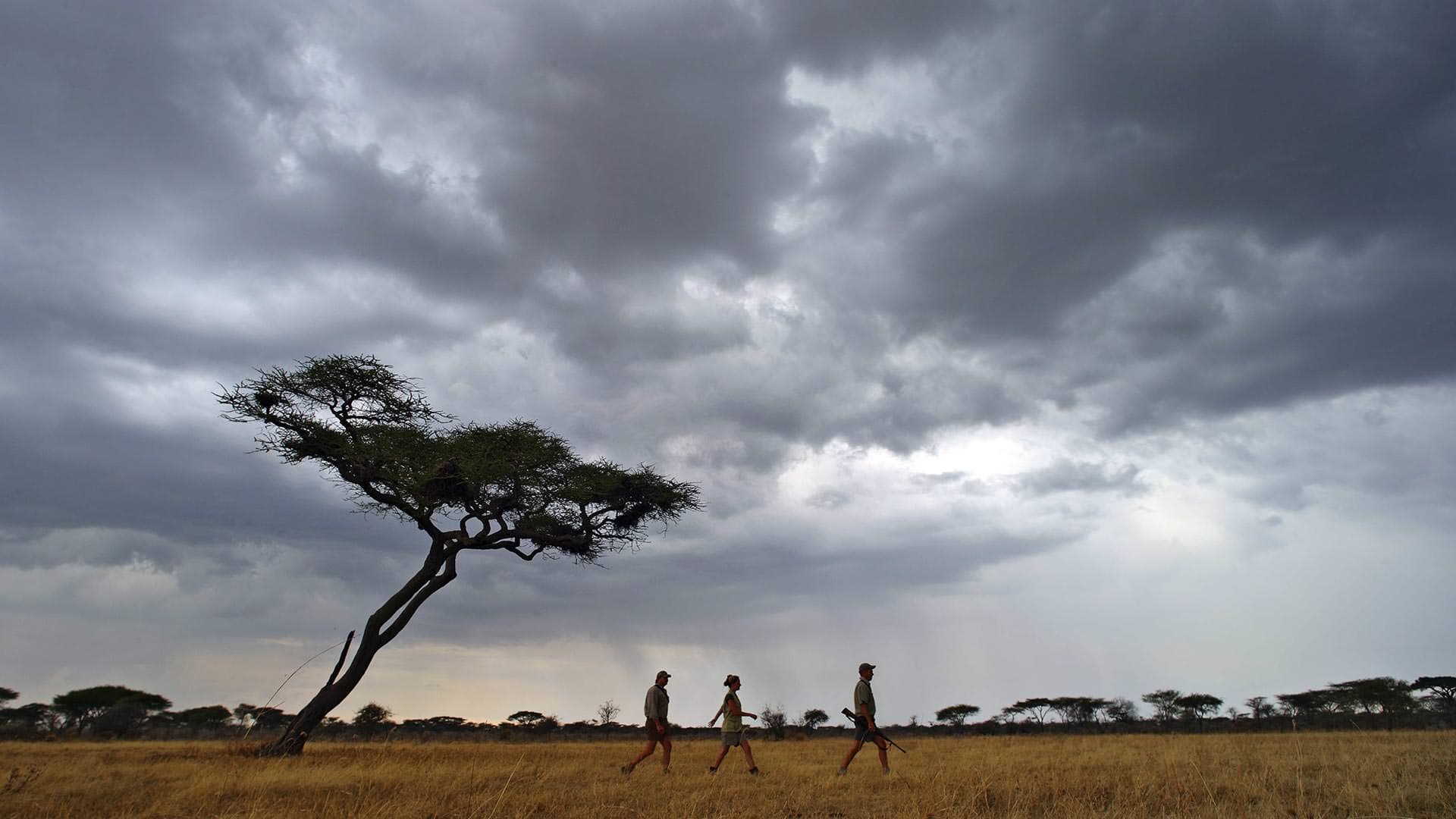 Maswa Game Reserve - Safaris and Expeditions