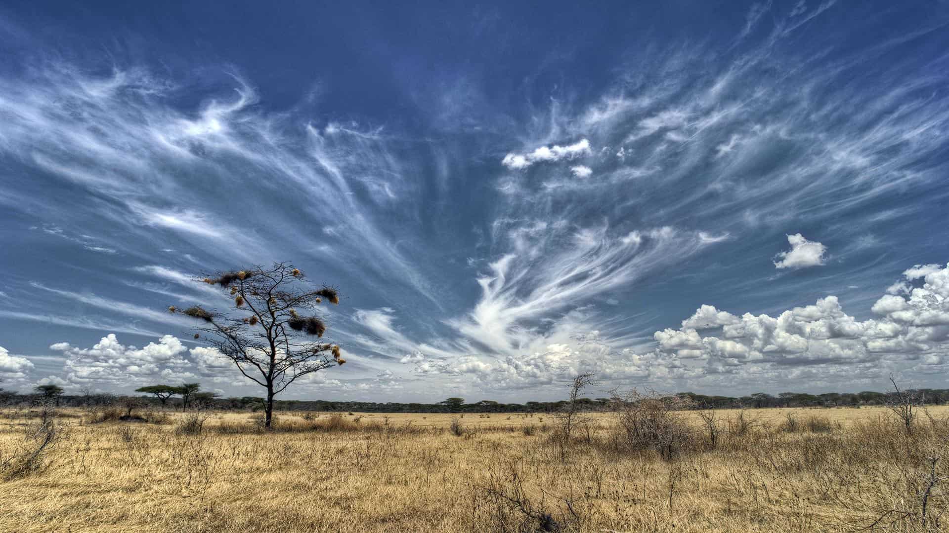 Maswa Game Reserve - Safaris and Expeditions