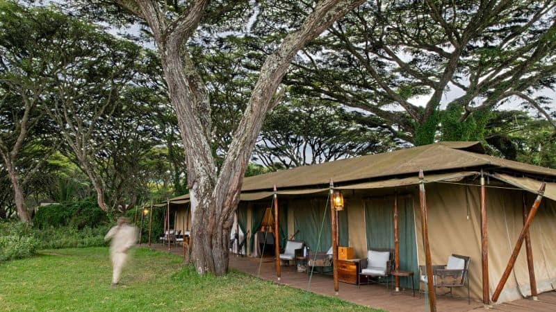 Lemala Properties - Safaris and Expeditions